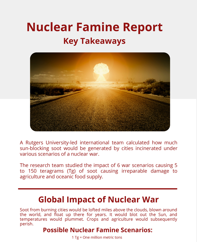 Nuclear Weapons Abolition | Chapter Site Template